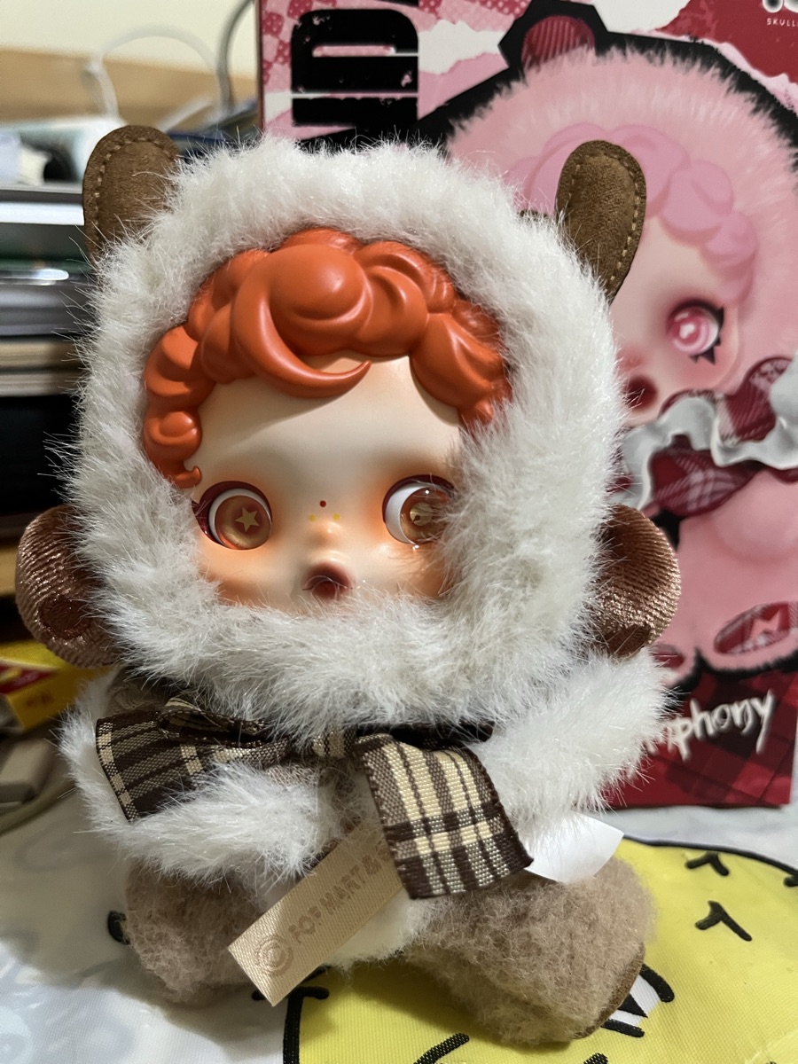 (เช็คการ์ด) Pop Mart Wanderer's Tune (SKULLPANDA Winter Symphony Series ...